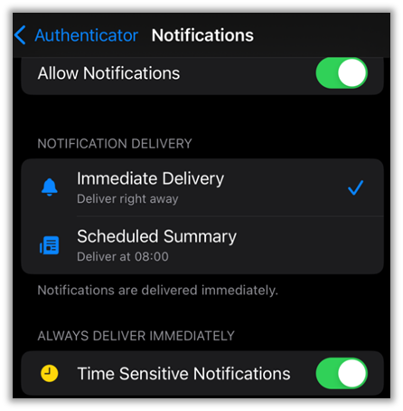 How to Install Microsoft Authenticator for iOS - EN